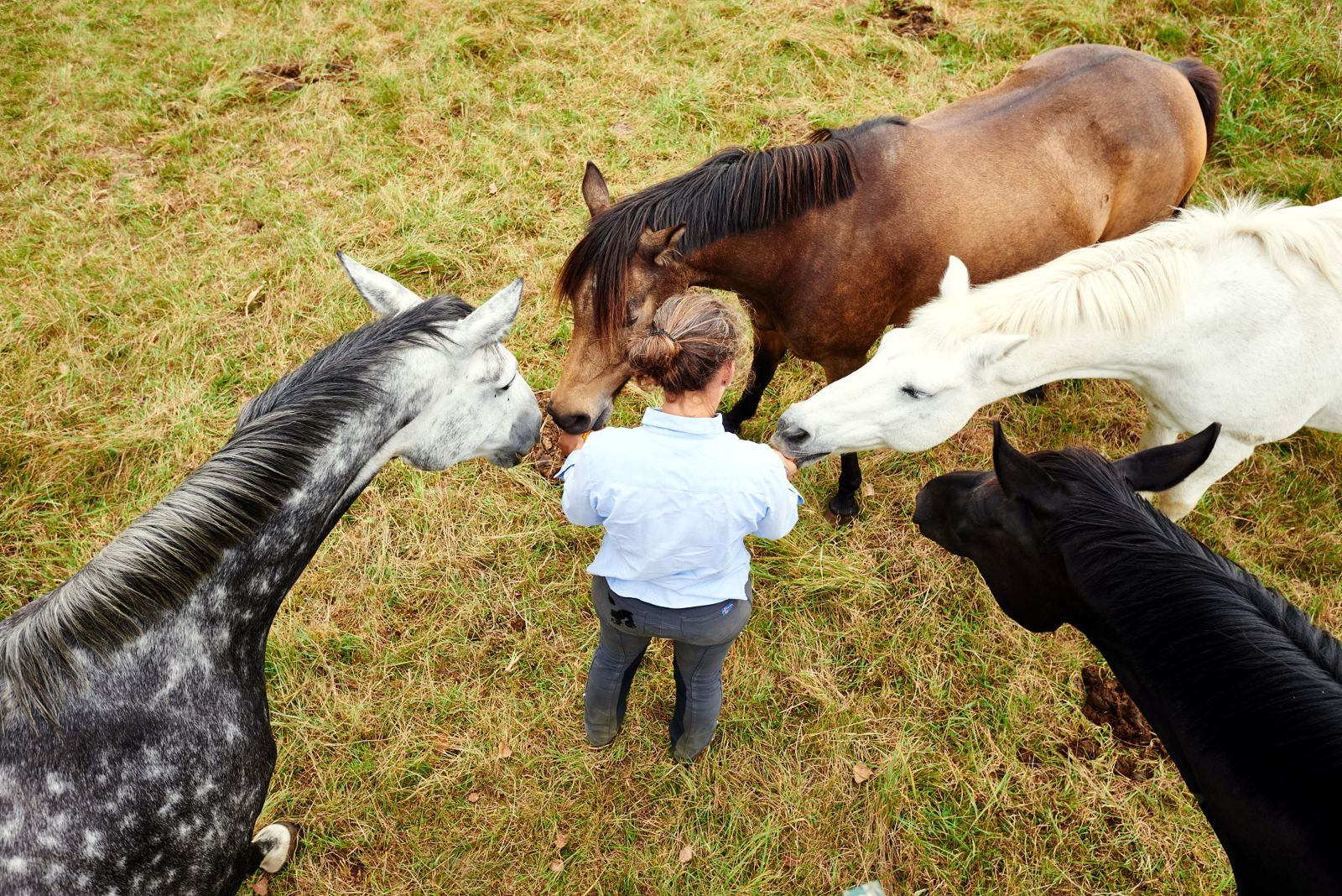Pferdetherapie | Andrea Kögler - Therapie für Pferde & Menschen